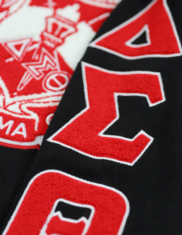 Delta V Neck Sweater - Greek CertiPHIed Apparel