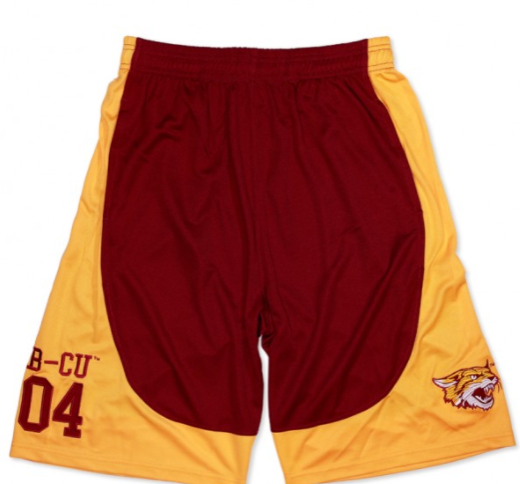 BC Shorts - Greek CertiPHIed Apparel